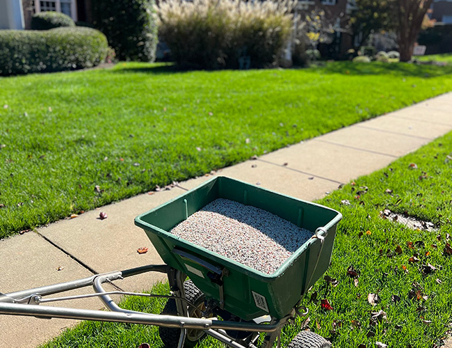 Landscaping & Lawn Services in Matthews, Weddington, Ballantyne ...